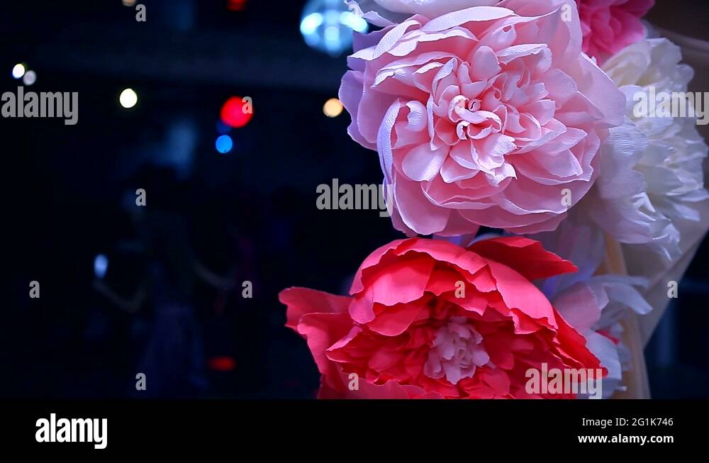 Flashing flowers Stock Videos & Footage - HD and 4K Video Clips - Alamy