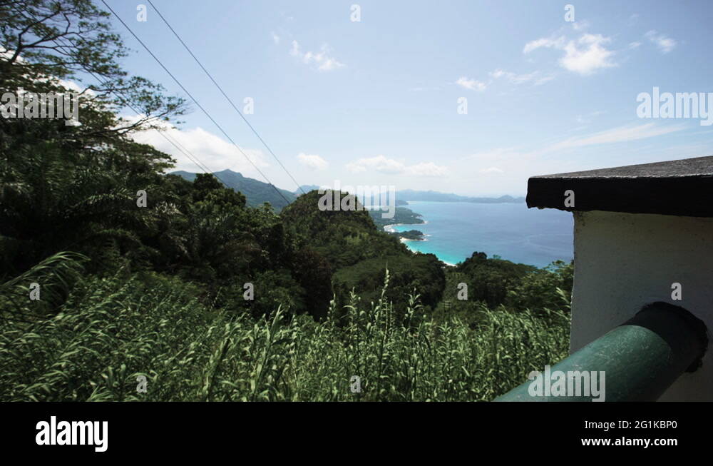 Tropical rainforest observation Stock Videos & Footage - HD and 4K ...