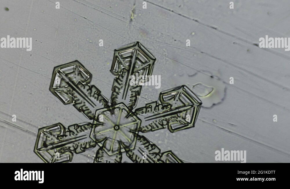 Ice crystal refraction Stock Videos & Footage - HD and 4K Video Clips ...