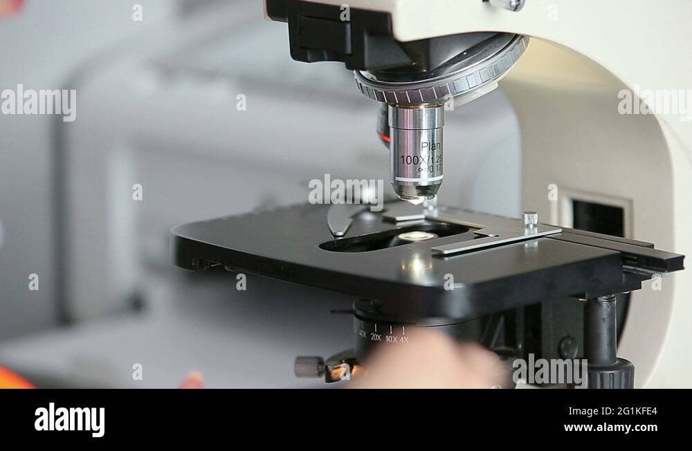 Health microbiology Stock Videos & Footage - HD and 4K Video Clips - Alamy