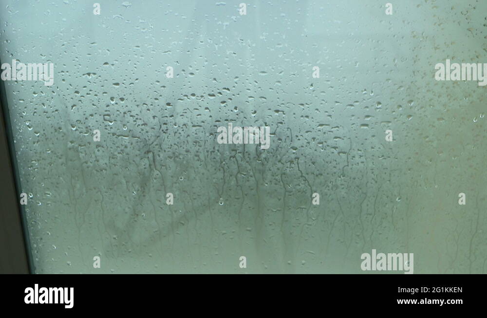 Water droplets on glass Stock Videos & Footage - HD and 4K Video Clips ...