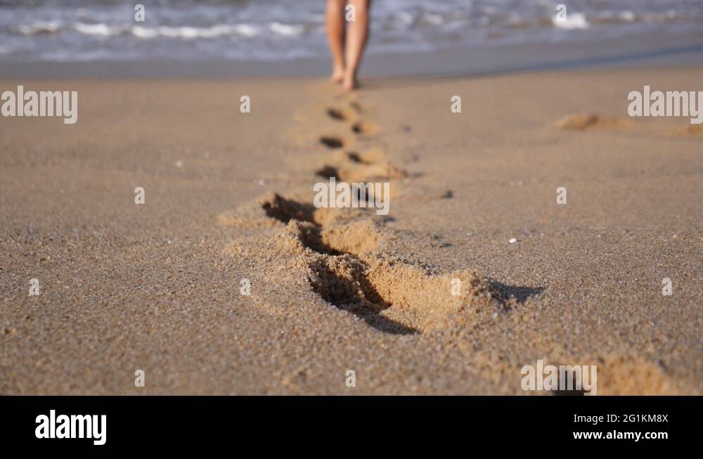 Sand walking at beach Stock Videos & Footage - HD and 4K Video Clips ...
