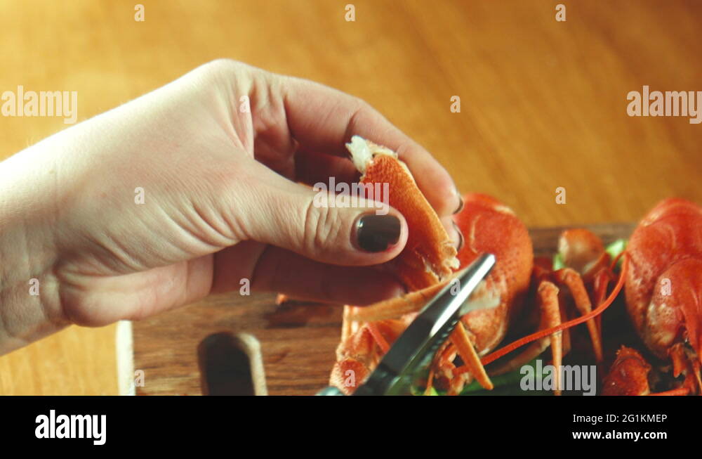 Flat lobster Stock Videos & Footage - HD and 4K Video Clips - Alamy