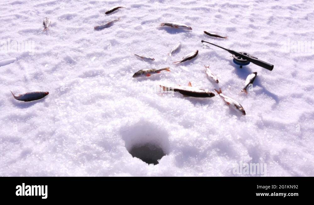 Catch hole Stock Videos & Footage - HD and 4K Video Clips - Alamy