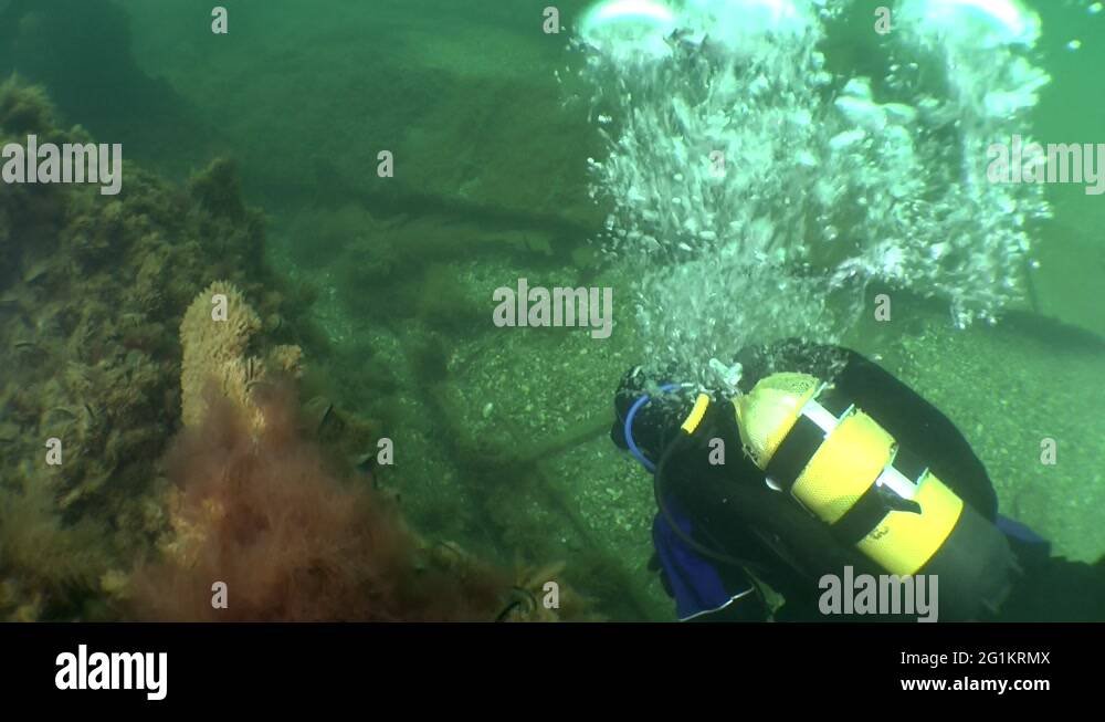 Diver board Stock Videos & Footage - HD and 4K Video Clips - Alamy