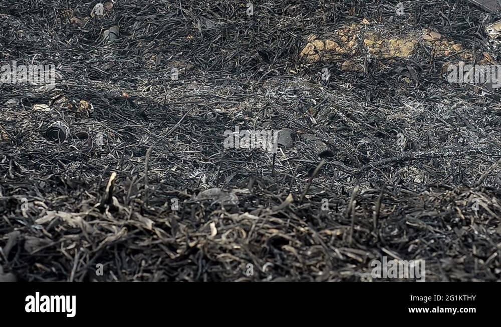 Fire ash texture Stock Videos & Footage - HD and 4K Video Clips - Alamy