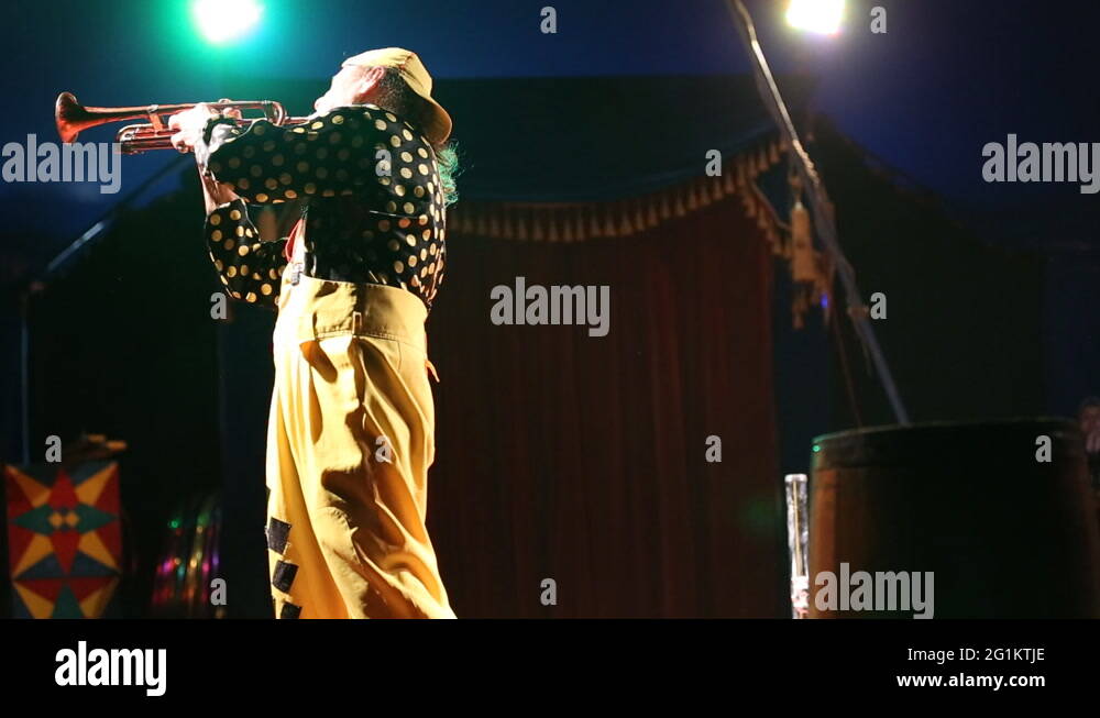 Clown trumpet Stock Videos & Footage - HD and 4K Video Clips - Alamy