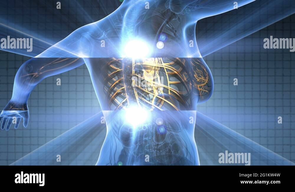 science anatomy scan of human body in x-ray with glow blood vessels on ...