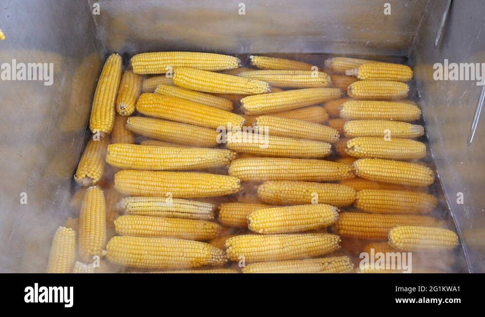 boiled corn in the tank. street food. slow motion Stock Video Footage ...