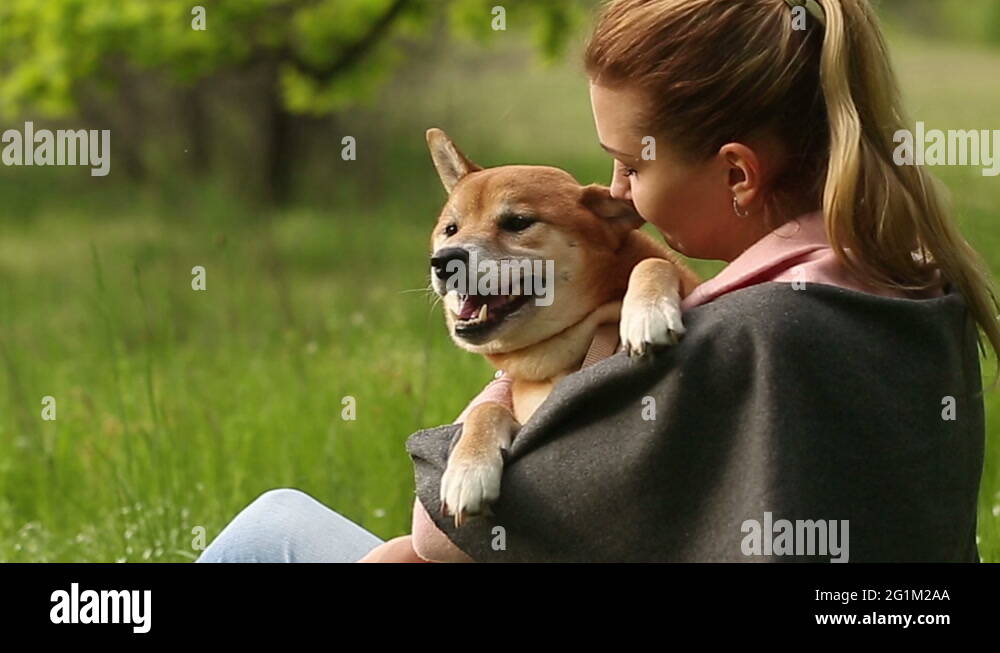 Biting ear Stock Videos & Footage - HD and 4K Video Clips - Alamy
