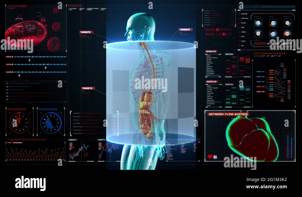 Digital human digestive system Stock Videos & Footage - HD and 4K Video ...