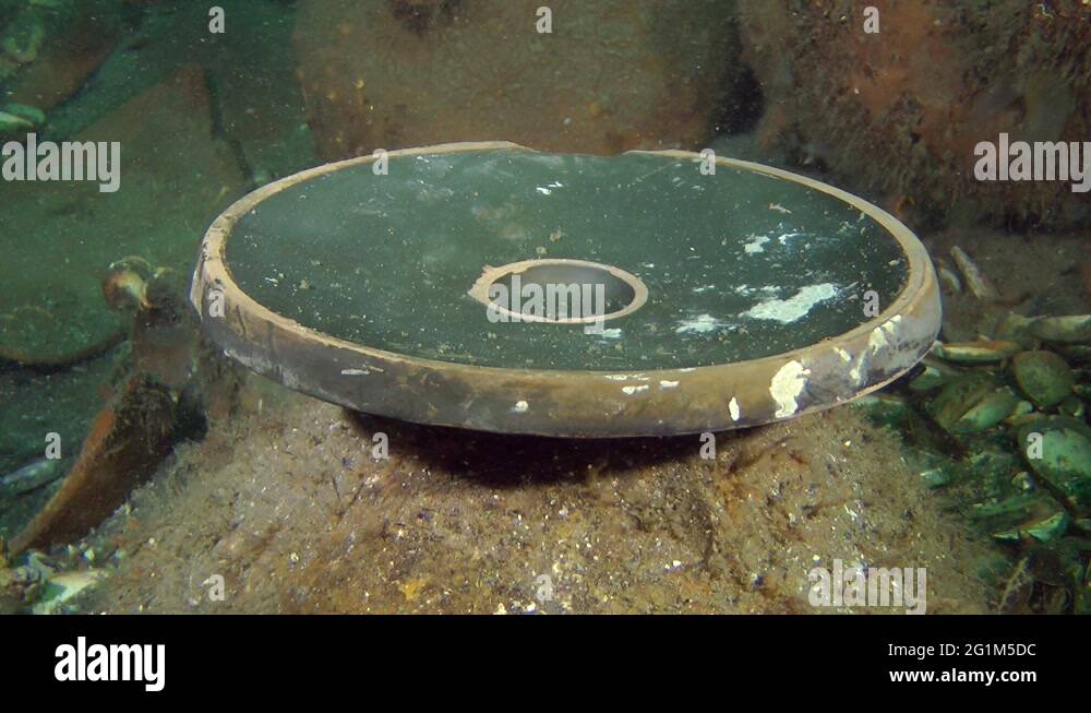 Ancient greek fish Stock Videos & Footage - HD and 4K Video Clips - Alamy