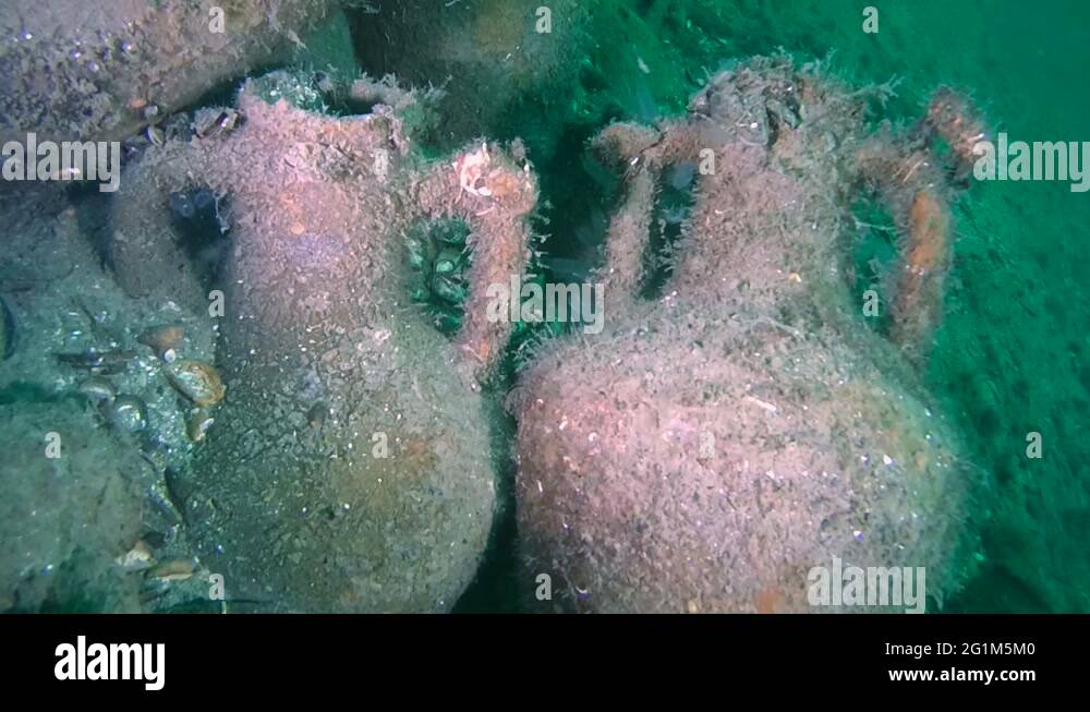 Amphorae Stock Videos & Footage - HD and 4K Video Clips - Alamy