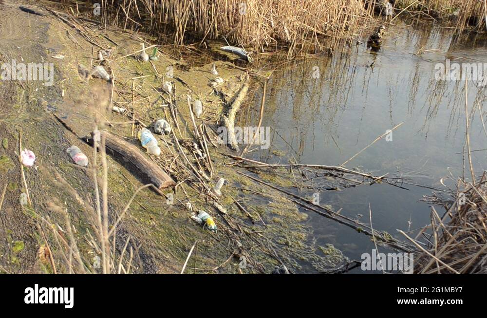 River of waste Stock Videos & Footage - HD and 4K Video Clips - Alamy