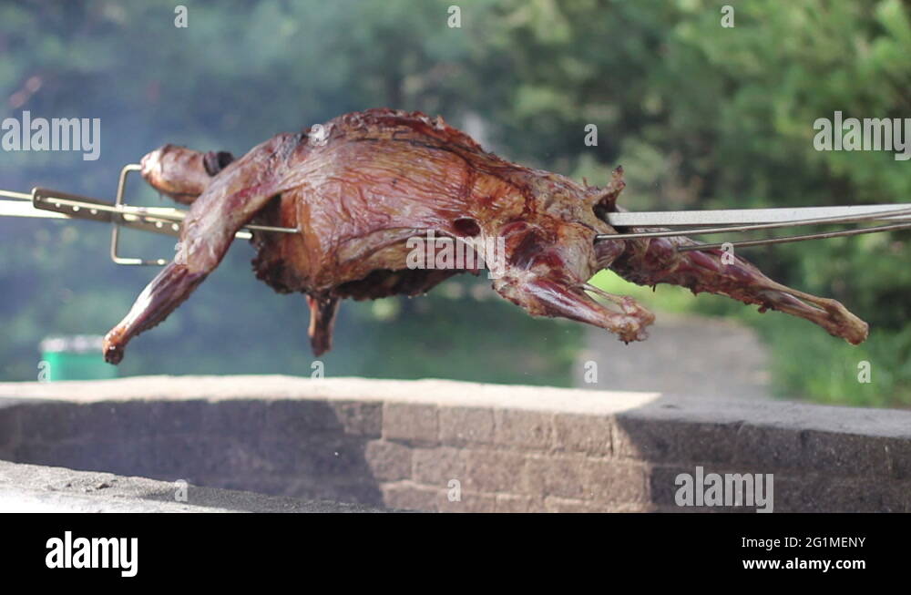 The spitfire grill Stock Videos & Footage - HD and 4K Video Clips - Alamy