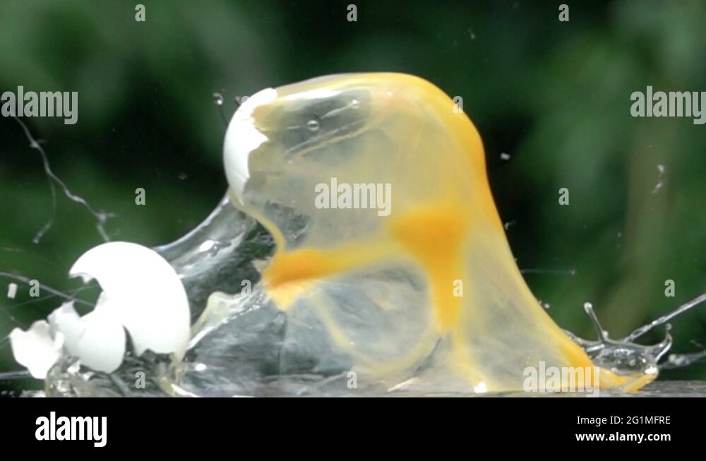 Trigger explosion Stock Videos & Footage - HD and 4K Video Clips - Alamy