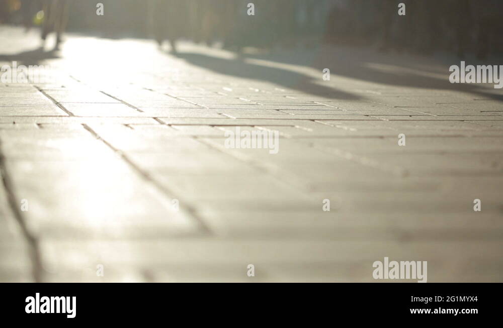 Long people shadows Stock Videos & Footage - HD and 4K Video Clips - Alamy