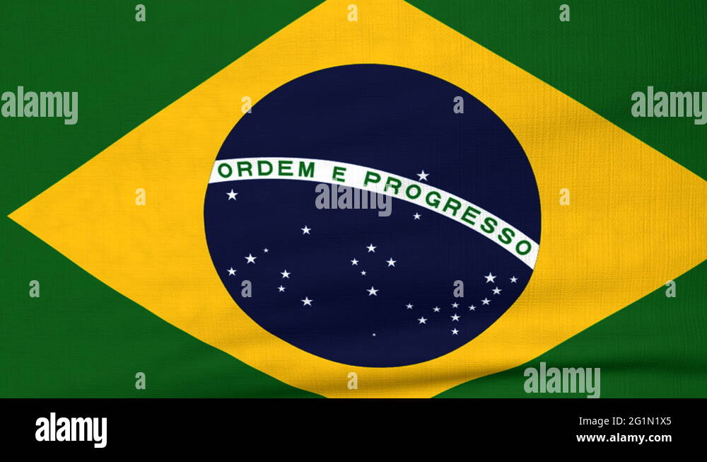 National symbol of brazil Stock Videos & Footage - HD and 4K Video ...
