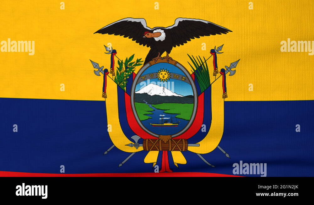 National government of ecuador Stock Videos & Footage - HD and 4K Video ...