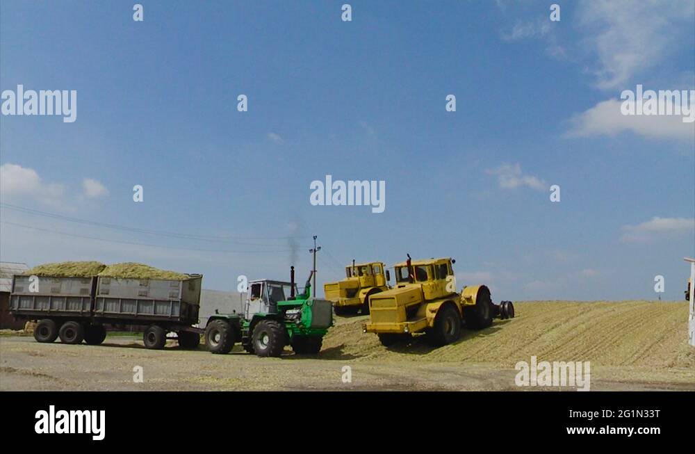 Forage. Bookmark Tractors Silage in a Trench Silo Stock Video Footage ...