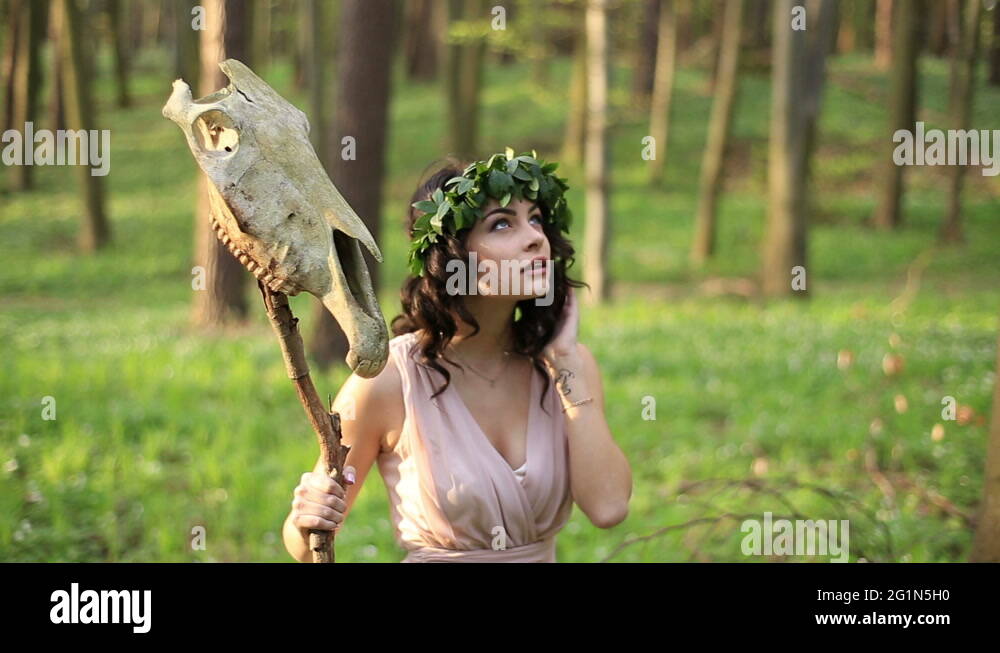 Forest nymph Stock Videos & Footage - HD and 4K Video Clips - Alamy