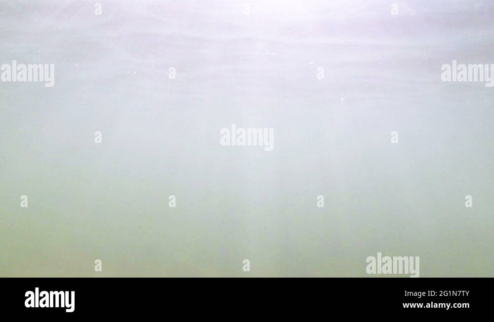 Sunlight sunbeams Stock Videos & Footage - HD and 4K Video Clips - Alamy