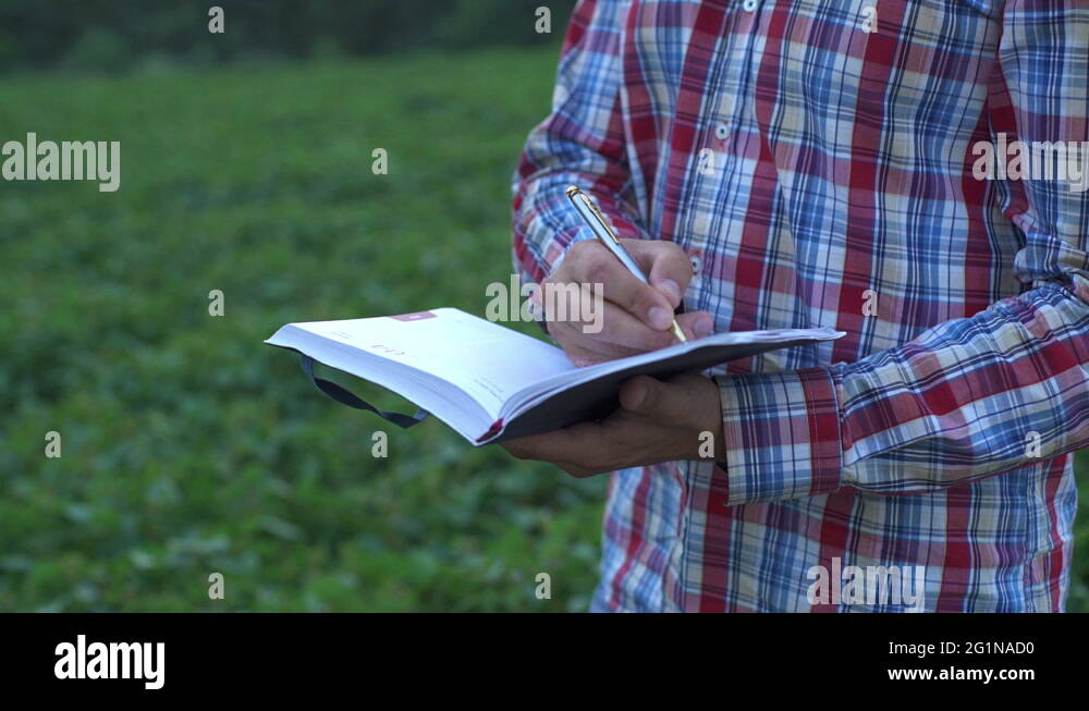Farmer in a plaid shirt controlled his field and writing notes Stock ...