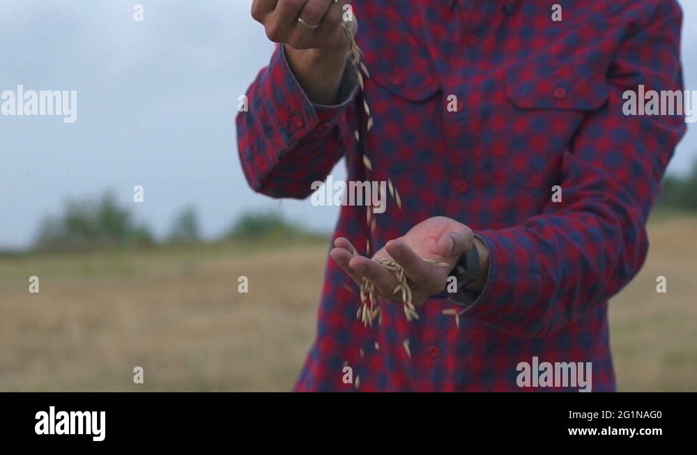 Work worn hands Stock Videos & Footage - HD and 4K Video Clips - Alamy