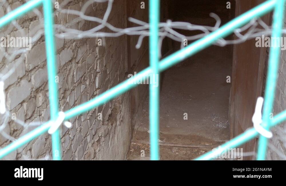 Torn wire mesh Stock Videos & Footage - HD and 4K Video Clips - Alamy