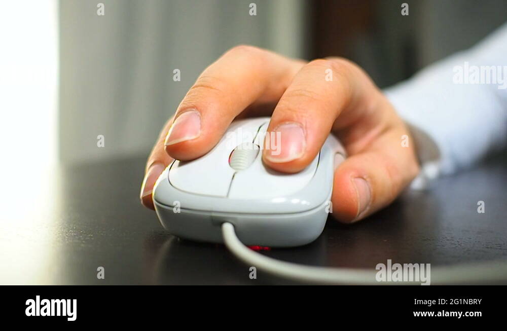 Middle mouse Stock Videos & Footage - HD and 4K Video Clips - Alamy