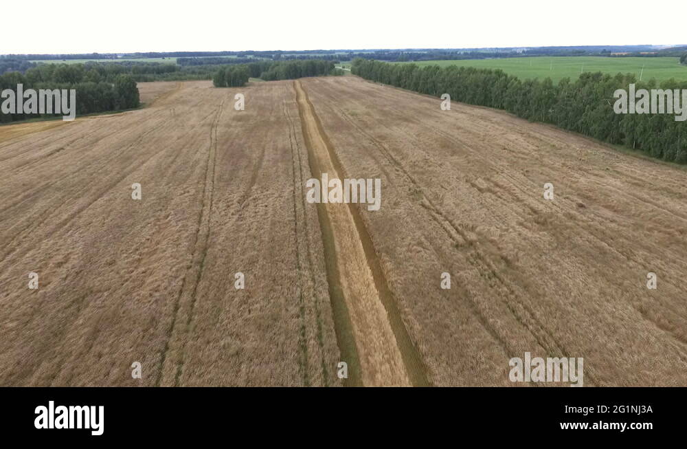 Narrow field road Stock Videos & Footage - HD and 4K Video Clips - Alamy Narrow field road Stock Videos & Footage - HD and 4K Video Clips - Alamy