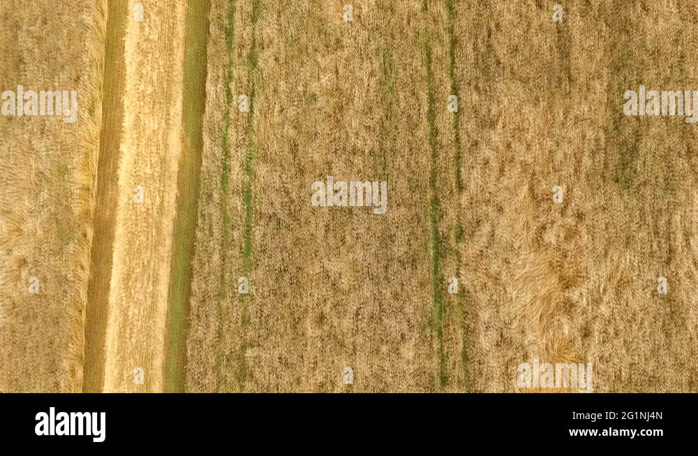 Timber frame road Stock Videos & Footage - HD and 4K Video Clips - Alamy