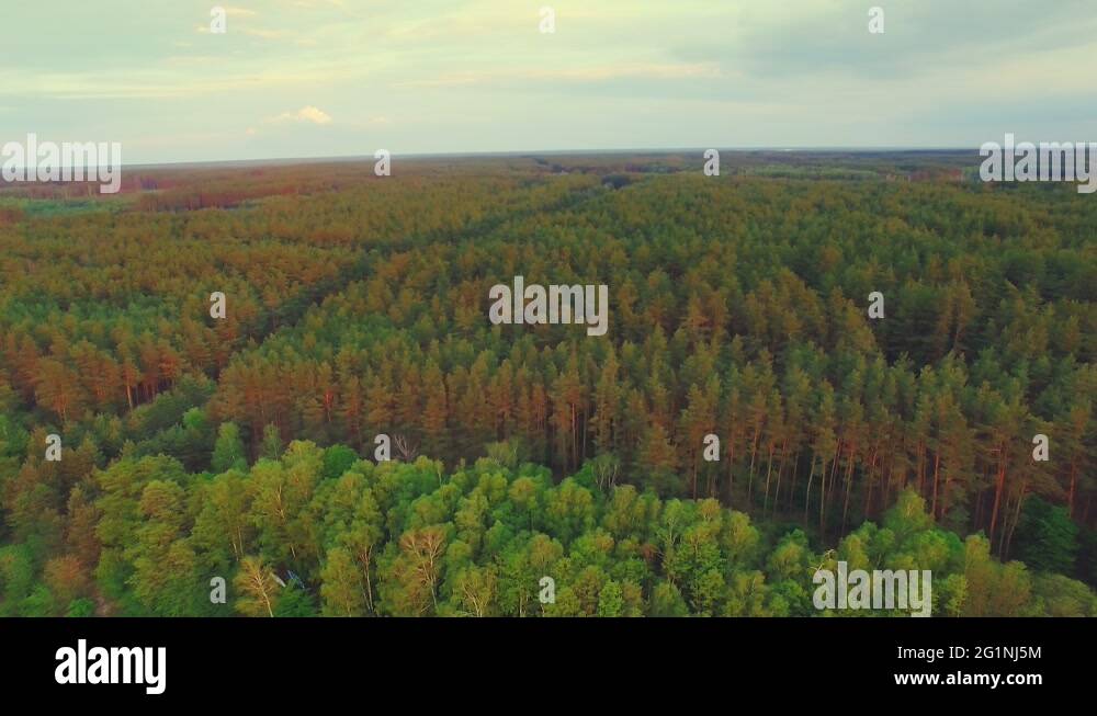 Panorama 180 degree Stock Videos & Footage - HD and 4K Video Clips - Alamy