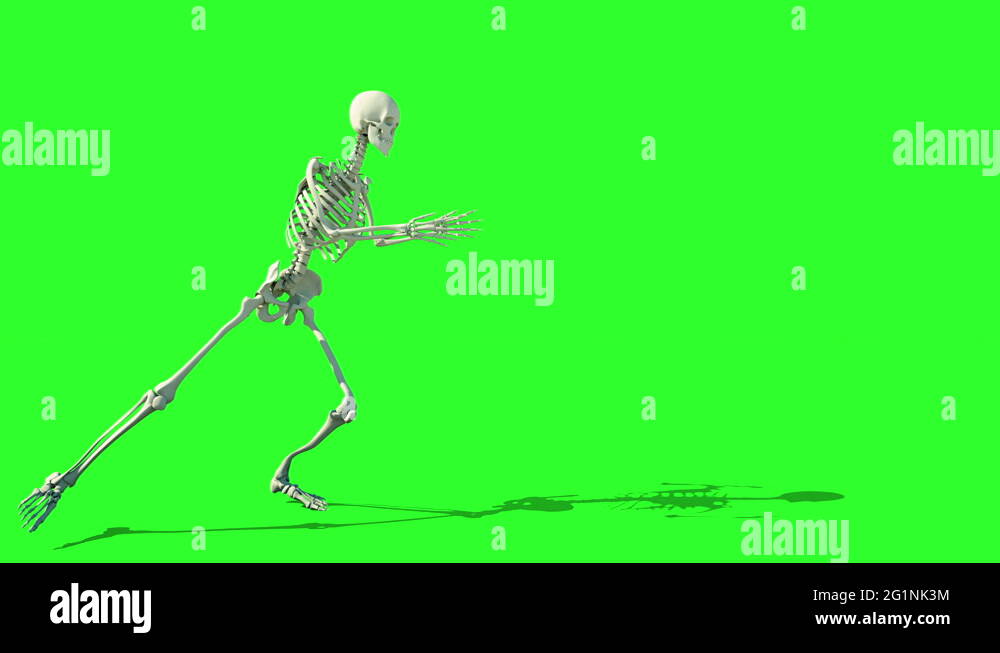 skeleton walk animation. GI render. Green screen footage. Halloween ...