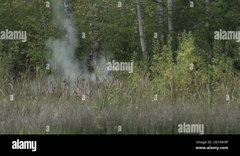 Forest explosion Stock Videos & Footage - HD and 4K Video Clips - Alamy