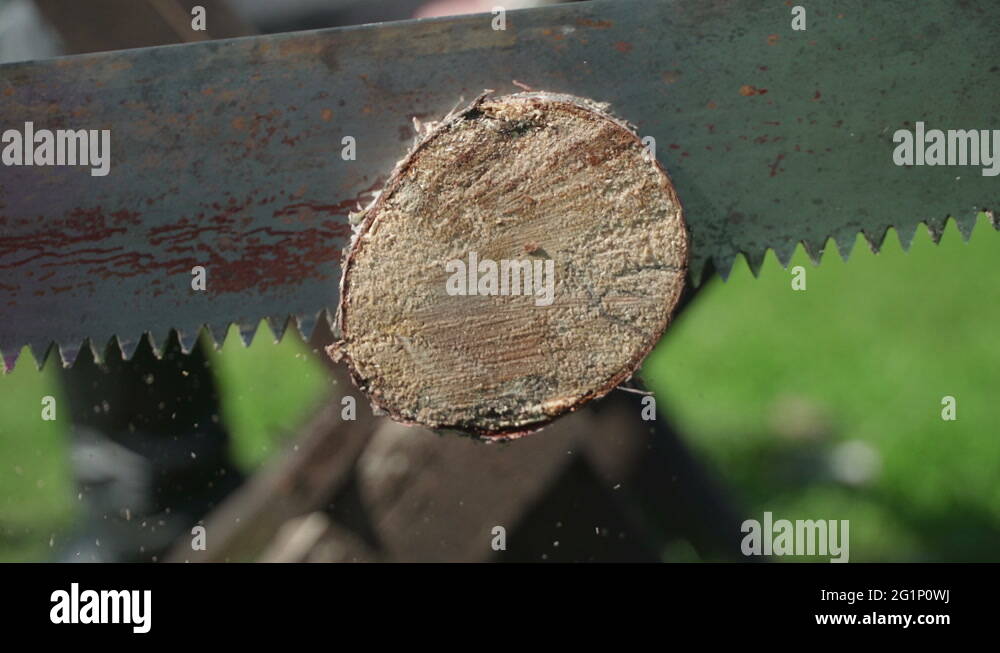 Team saw Stock Videos & Footage - HD and 4K Video Clips - Alamy