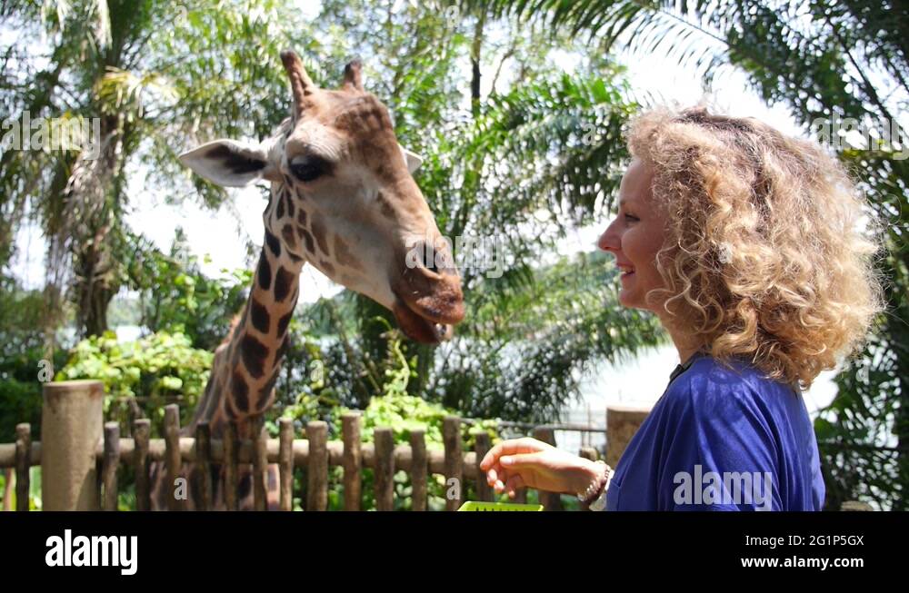Giraffe neck woman Stock Videos & Footage - HD and 4K Video Clips - Alamy