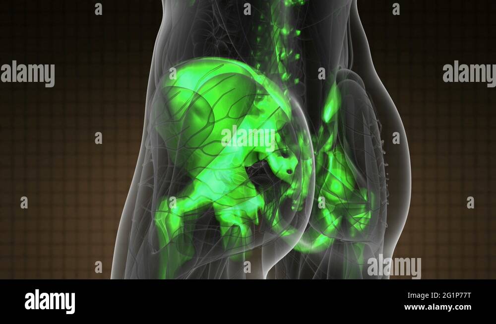 science anatomy of human body in x-ray with glow skeleton bones Stock ...