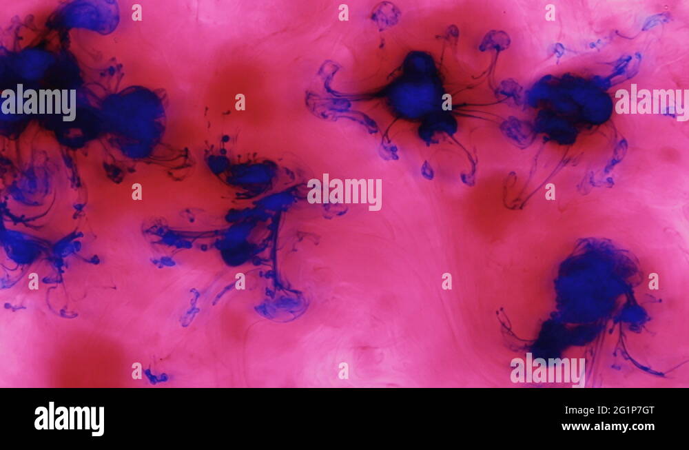 Ink drop splash Stock Videos & Footage - HD and 4K Video Clips - Alamy