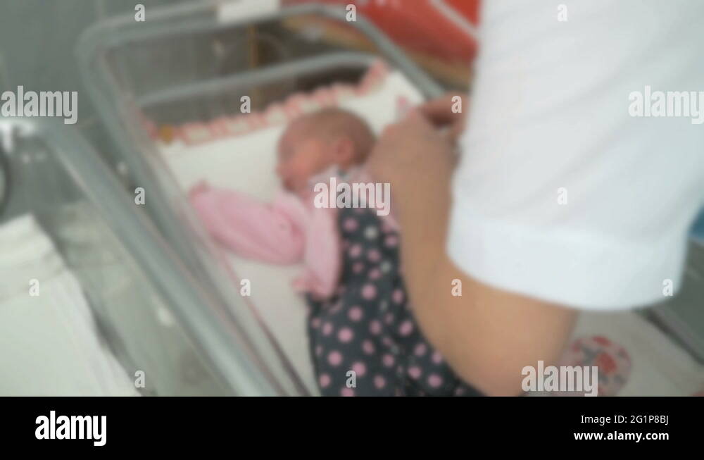 Living chamber Stock Videos & Footage - HD and 4K Video Clips - Alamy