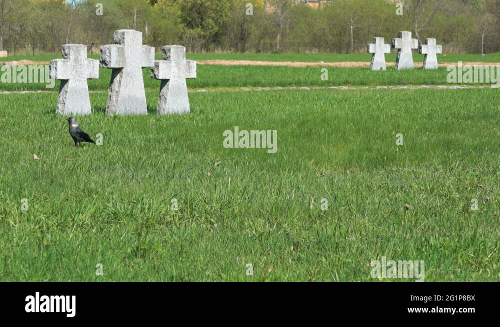 Crosses in german military cemetery Stock Videos & Footage - HD and 4K ...