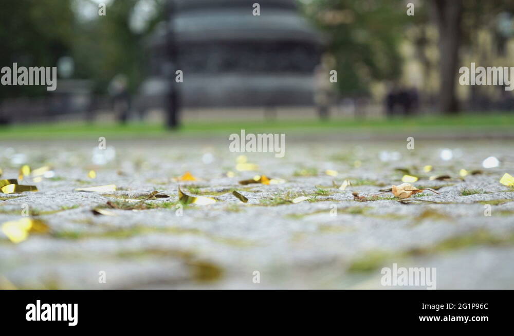 Paving stone structure Stock Videos & Footage - HD and 4K Video Clips ...