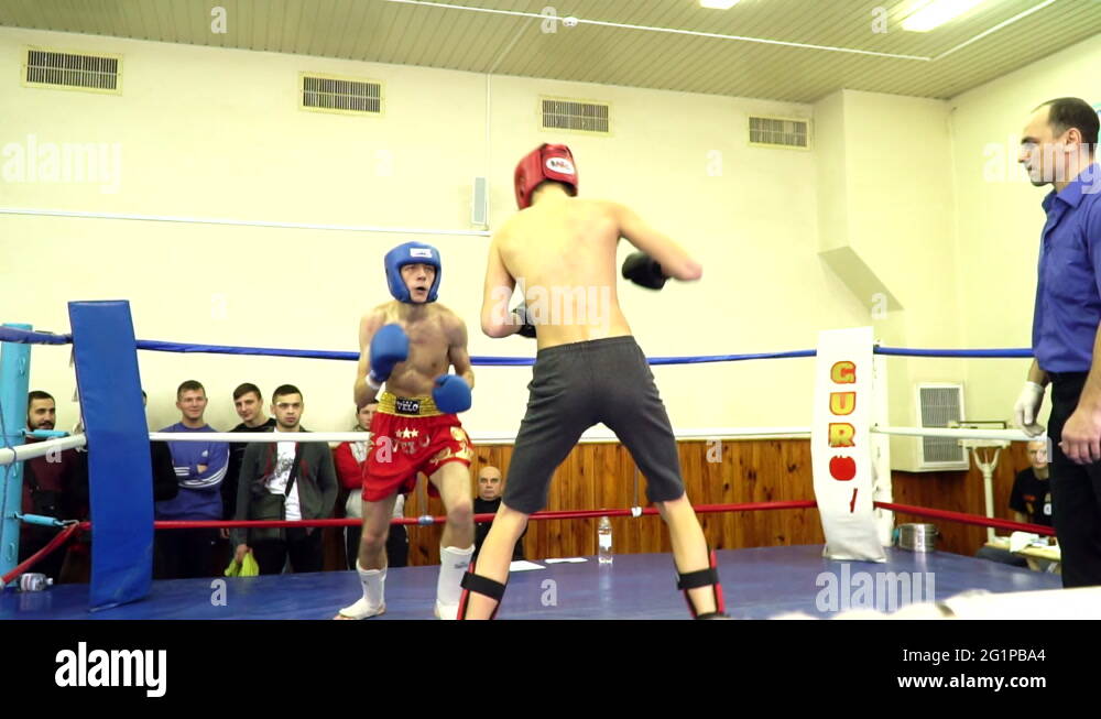 Combat athletes in the ring in a closed room Stock Video Footage - Alamy