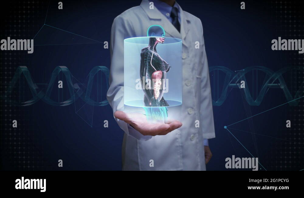 Doctor open palm, female Human body scanning internal organs, Digestion ...