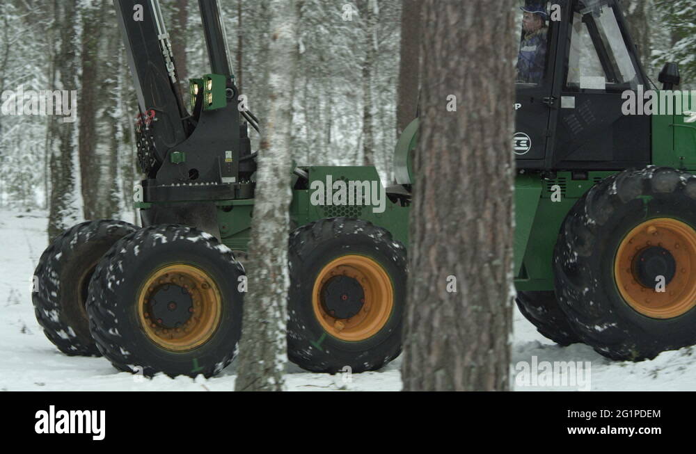 Forest freight Stock Videos & Footage - HD and 4K Video Clips - Alamy