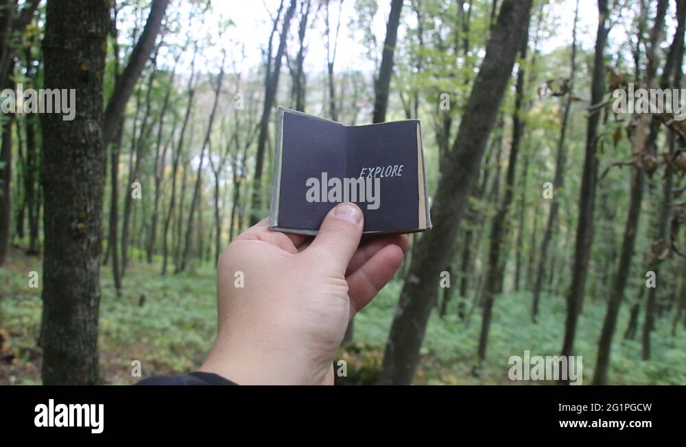 Forest explore Stock Videos & Footage - HD and 4K Video Clips - Alamy