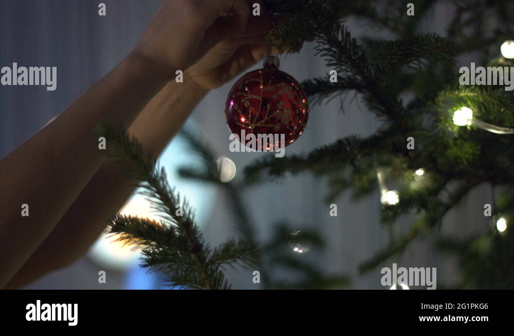 Red ball on the tree Stock Videos & Footage - HD and 4K Video Clips - Alamy