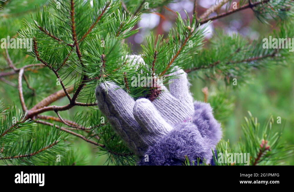 Hope cone Stock Videos & Footage - HD and 4K Video Clips - Alamy