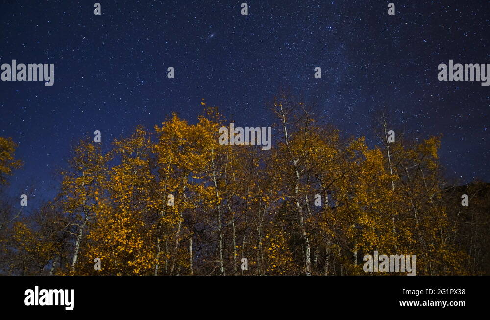 Astro Timelapse of Stars over Aspen Fall Foliage in Eastern Sierra ...