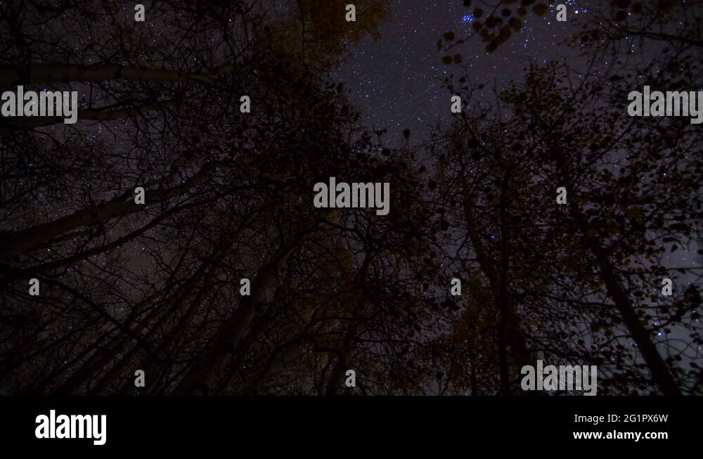 MoCo Astro Timelapse of Stars over Fall Foliage in Eastern Sierra Stock ...